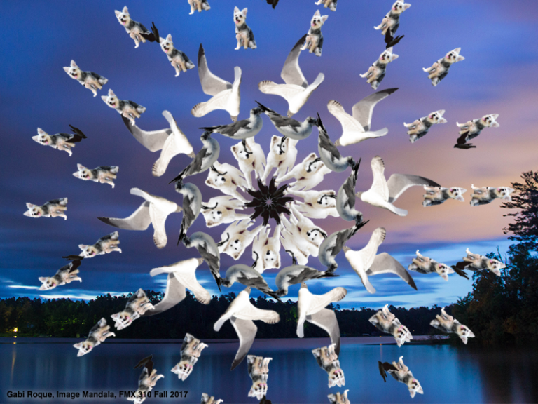 MANDALAS – FMX 310 • Creative Coding